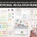 Zones of Regulation Coping Skills Cards, Feelings Awareness Tool ...