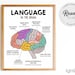 Speech Therapy Poster Printable, SLP Scope of Practice Poster, Speech ...