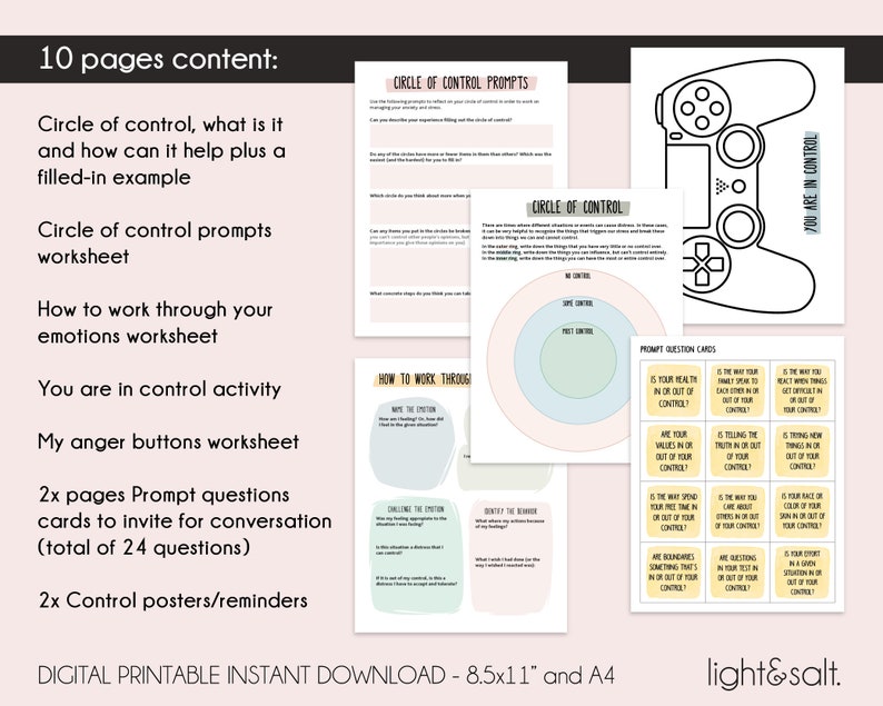 Circle of Control Therapy Worksheets Things I Can Control - Etsy