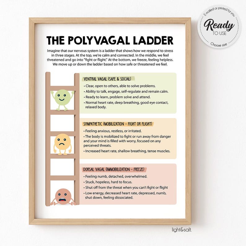 The Polyvagal Ladder Polyvagal Theory Poster Vagal Nerve Stimulation