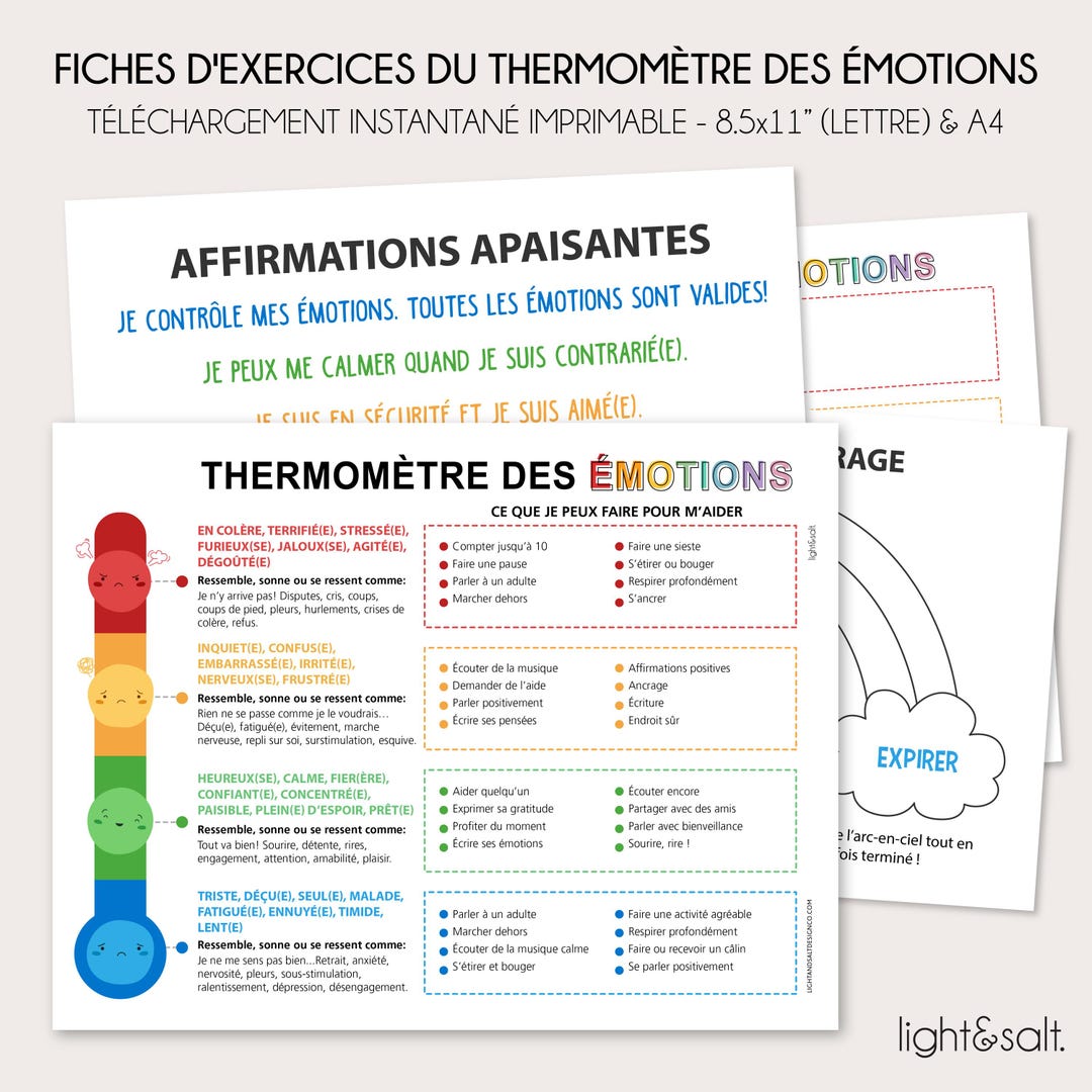 Thermomètre Des Émotions & Stratégies D'adaptation, Zones De Régulation ...