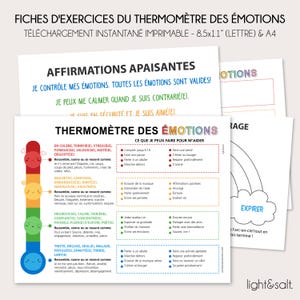 Thermomètre Des Émotions & Stratégies D'adaptation, Zones De Régulation ...