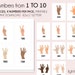 Printable Finger Counting Flash Cards, 1 to 10, Counting Cards, Count ...