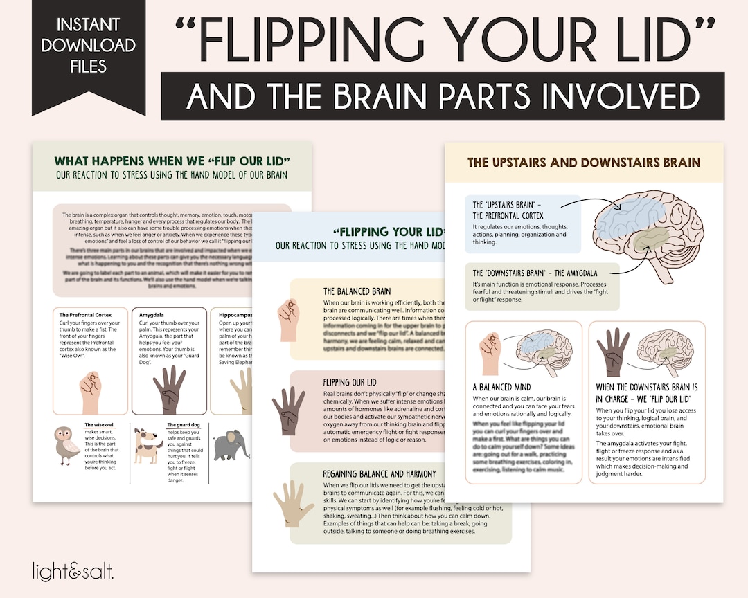 Understanding Your Brain When You Flip Your Lid, Mental Health ...