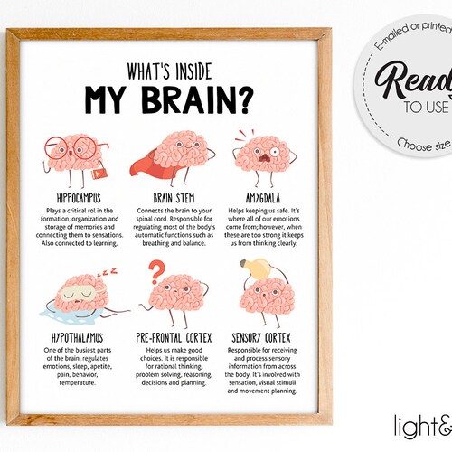 Brain Poster Psychology Poster the Human Brain Anatomy | Etsy