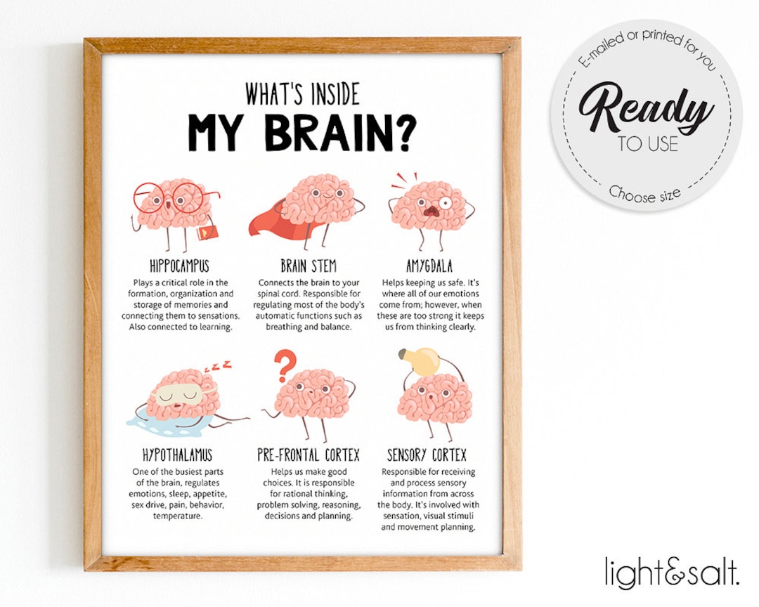 Brain Poster, Psychology Poster, the Human Brain Anatomy Poster, Mental ...