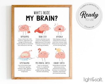 EMOTIONAL REGULATION & the BRAIN, Printable Poster, Brain Anatomy and ...