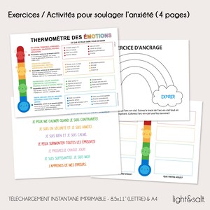 Thermomètre Des Émotions & Stratégies D'adaptation, Zones De Régulation ...