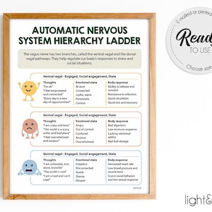 Automatic Nervous System Poster Polyvagal Theory Hierarchy - Etsy