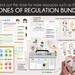 Zones of Regulation Poster, Feelings Poster, Feelings Chart, Calm ...