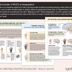 Understanding Your Brain When You Flip Your Lid, Mental Health ...