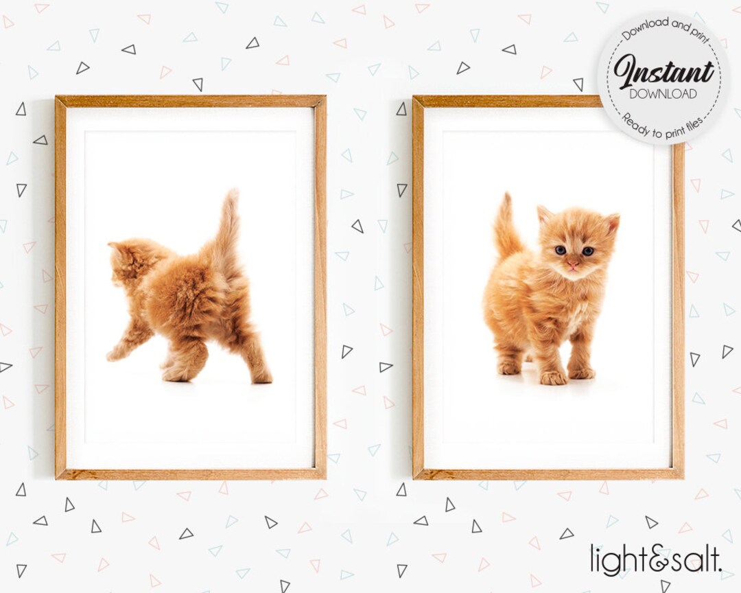 Kitten Printable Art, Baby Animal Prints for Nursery, Animal Nursery ...