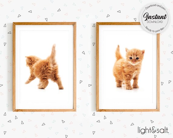 Kitten Printable Art Baby Animal Prints for Nursery Animal | Etsy