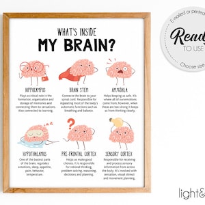 Brain Poster, Psychology Poster, the Human Brain Anatomy Poster, Mental ...