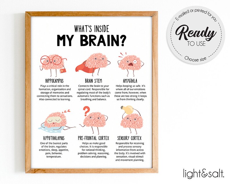 Brain Poster, Psychology Poster, the Human Brain Anatomy Poster, Mental ...