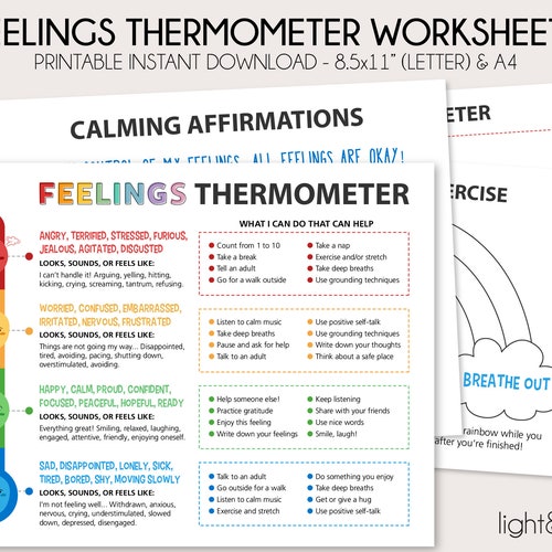 Feelings Chart Feelings Thermometer Zones of Regulation - Etsy