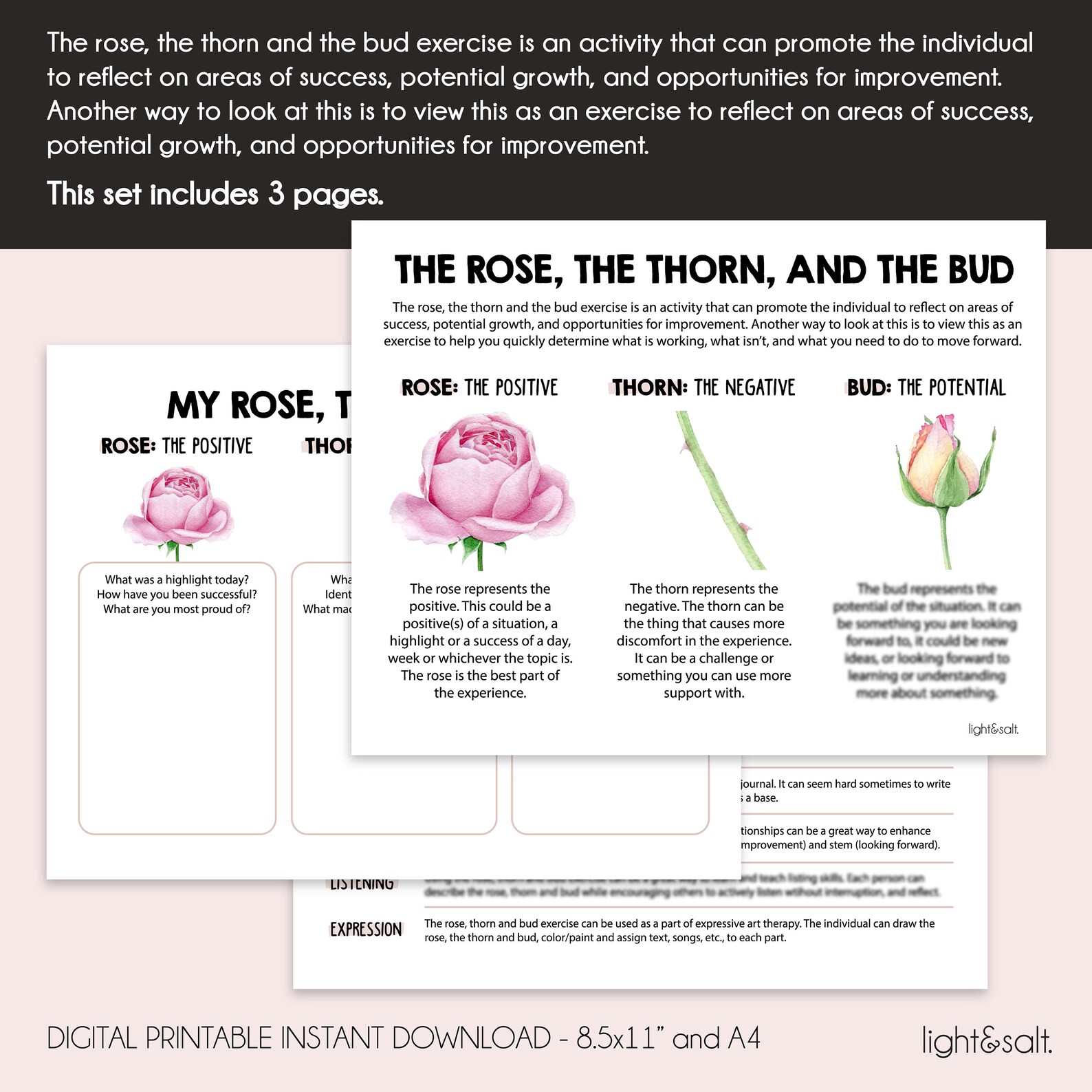Rose, Thorn and Bud Worksheets, Communication Skills Check-in Tool ...