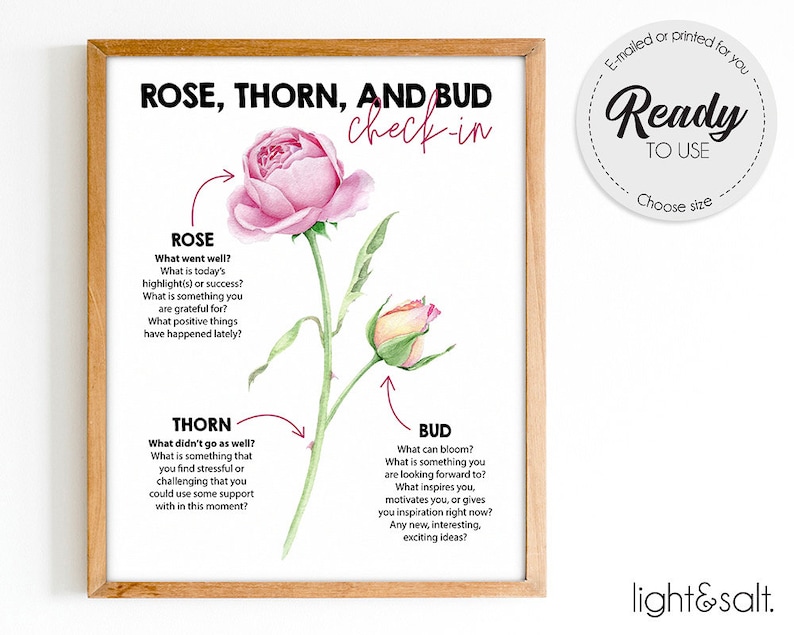 Rose, Thorn and Bud Check-in Poster, Mental Health Poster, Growth ...