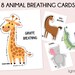 Mindfulness Breathing Exercises Activities for Kids, Animal, Breathing ...