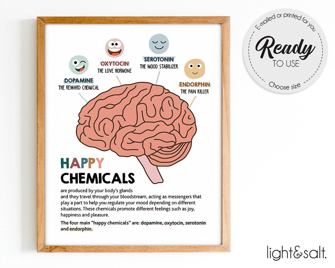 Happy Chemicals, Happiness Chemicals, Therapy Office Decor, Wellbeing ...