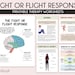 The Fight or Flight Response Workbook, Therapy Worksheets, Stress ...