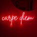 Carpe Diem Neon Sign,carpe Diem Neon Light,carpe Diem Led Sign,carpe ...