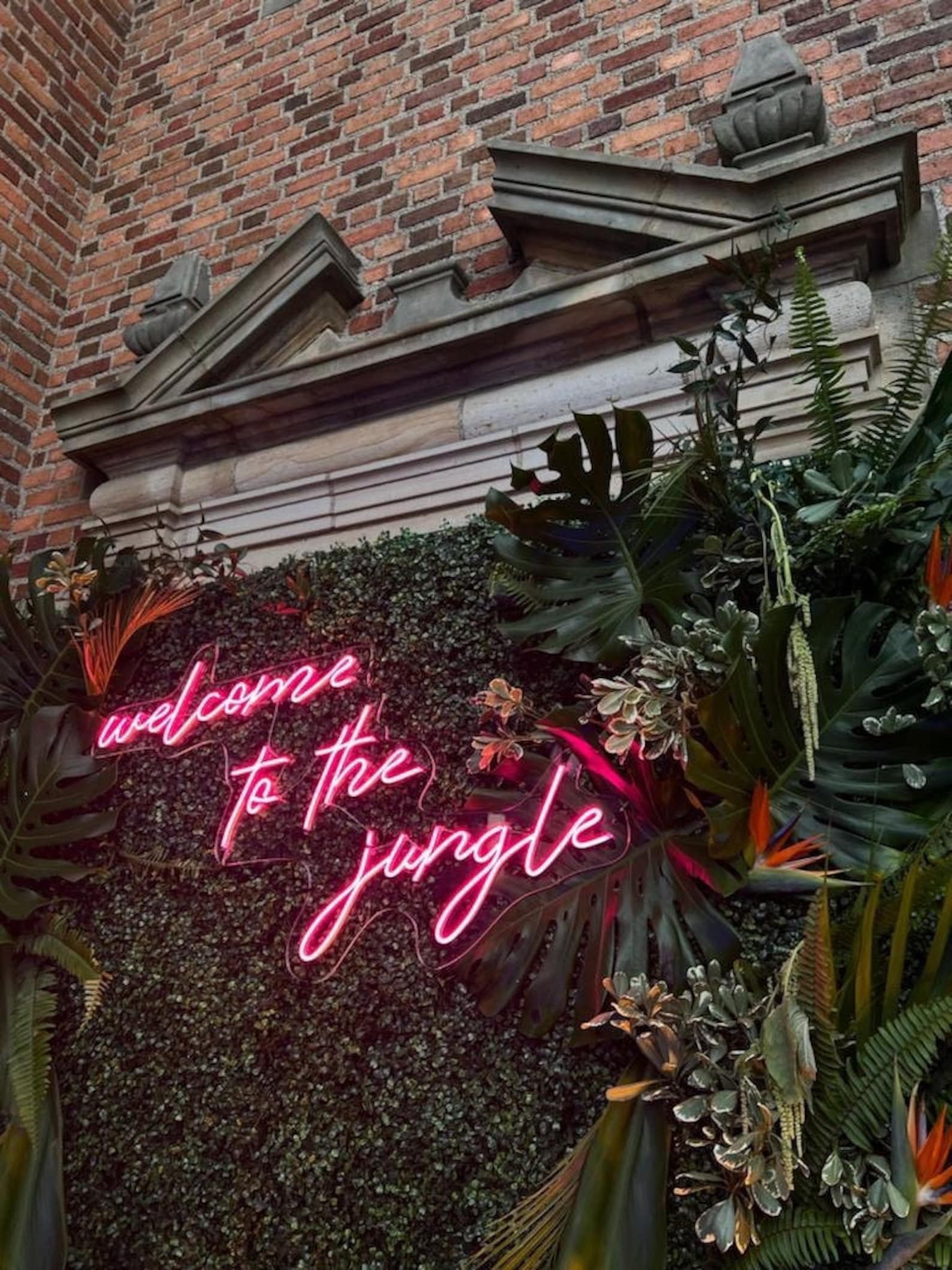 Welcome to the Jungle Neon Sign Welcome to the Jungle Wall - Etsy