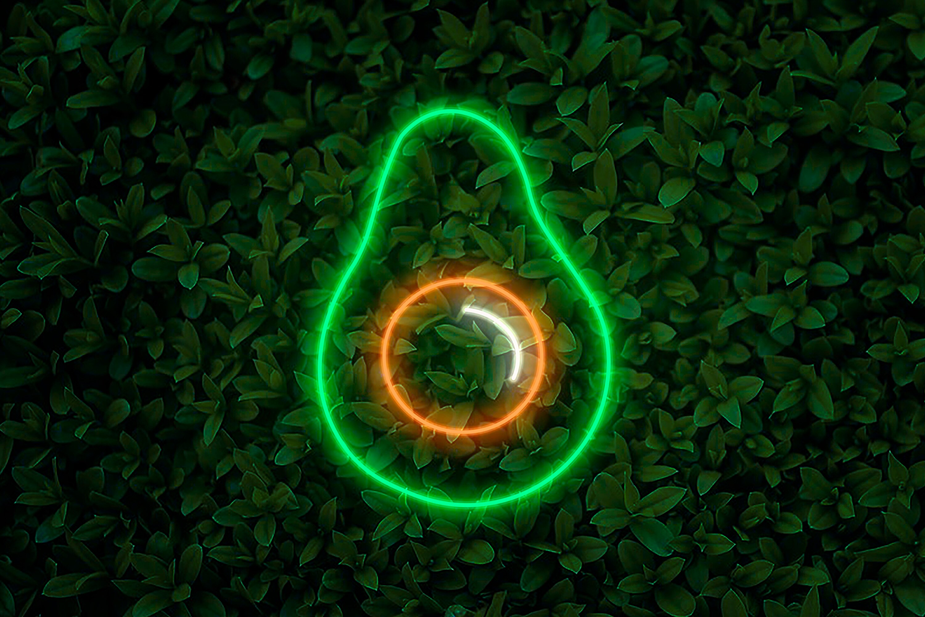 Avocado neon signAvocado signAvocado led signAvocado wall | Etsy