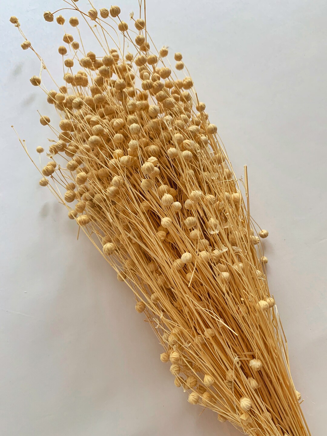 Dried Flax 100gr Natural - Etsy