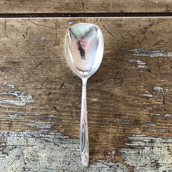Silver Plate Serving Spoon - Etsy
