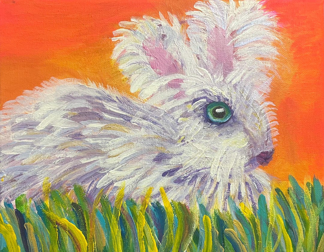 Angora Rabbit Original Acrylic Painting - Etsy