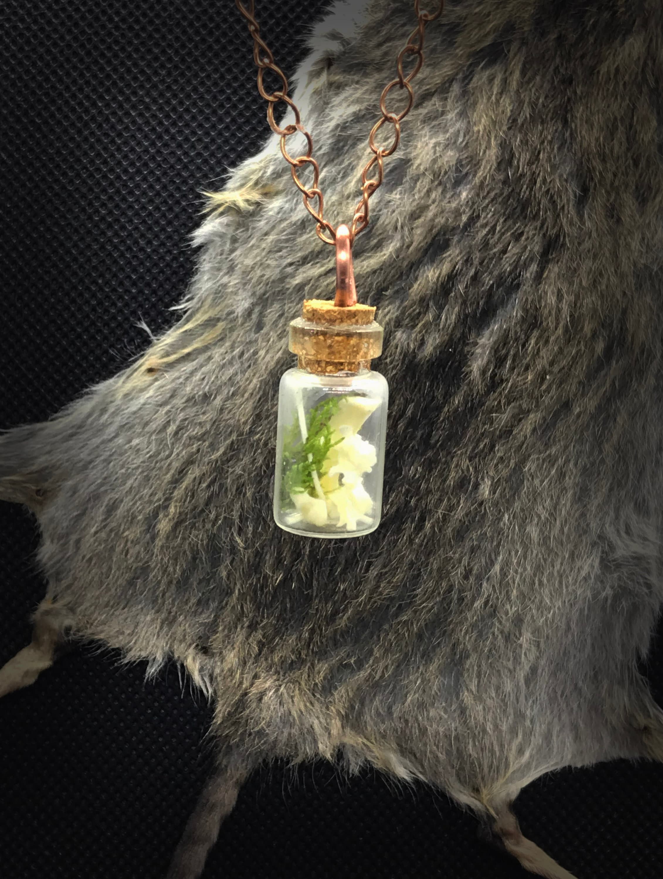 Witch Amulet Cruelty Free Bones in a Moss Pendant Statement - Etsy