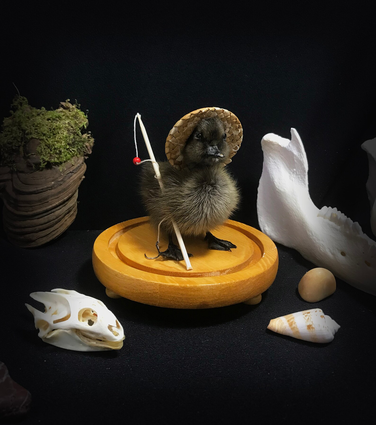 Cute Fisher Baby Duckling in a Glass Dome Fisherman Gift - Etsy