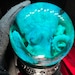 Blue Octopus Wet Specimen on Gothic Stand - Oddities Collector Unique ...