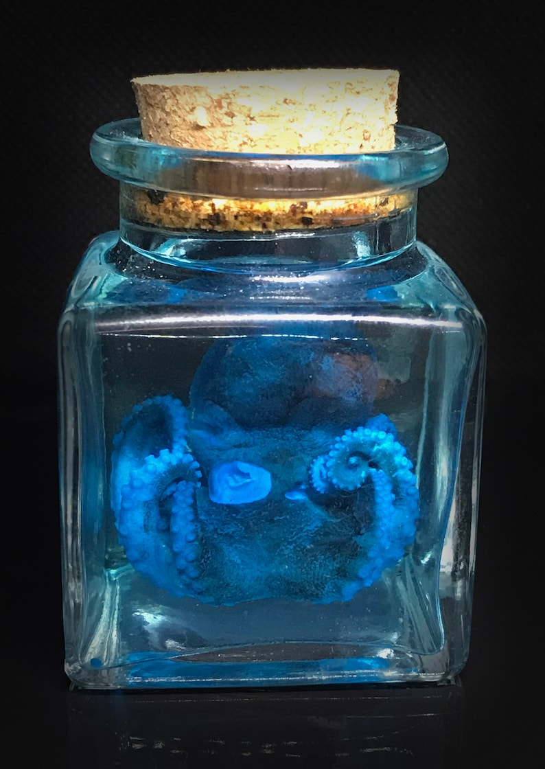 Cute BLUE Baby Octopus in a Jar Rare Curiosity Steampunk - Etsy
