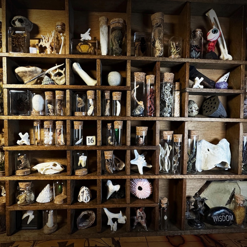 Bones Mystery Box Gift - 60+ Gift Ideas for 2025