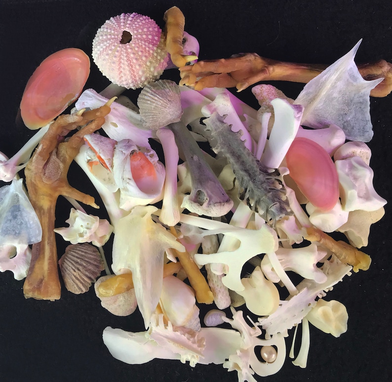 Adorable Miniature Bone Throwing Kit Gift Set - Bone Casting Divination ...