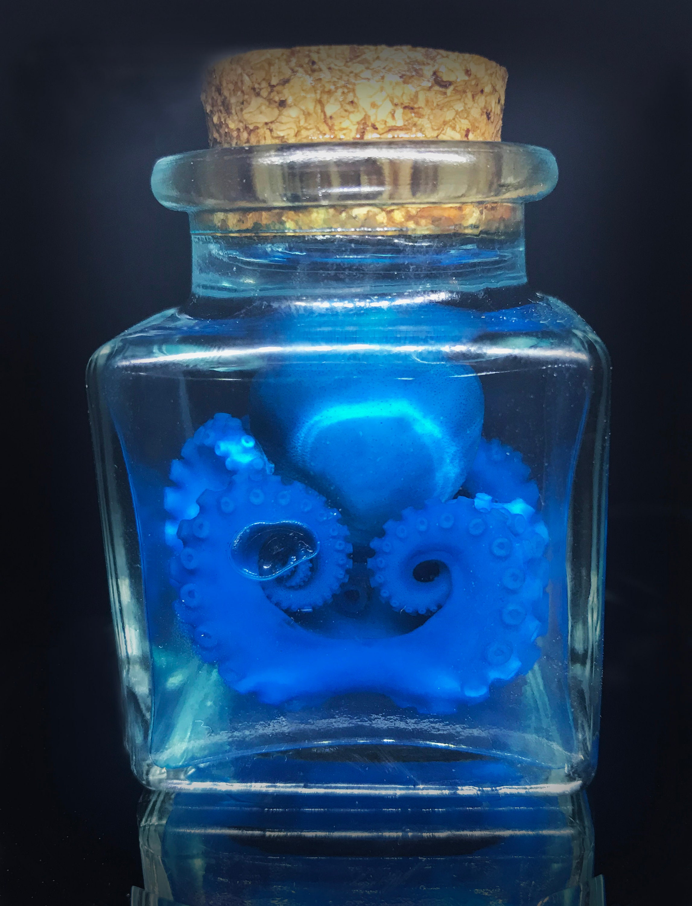 Cute BLUE baby octopus in a jar Rare Curiosity | Etsy