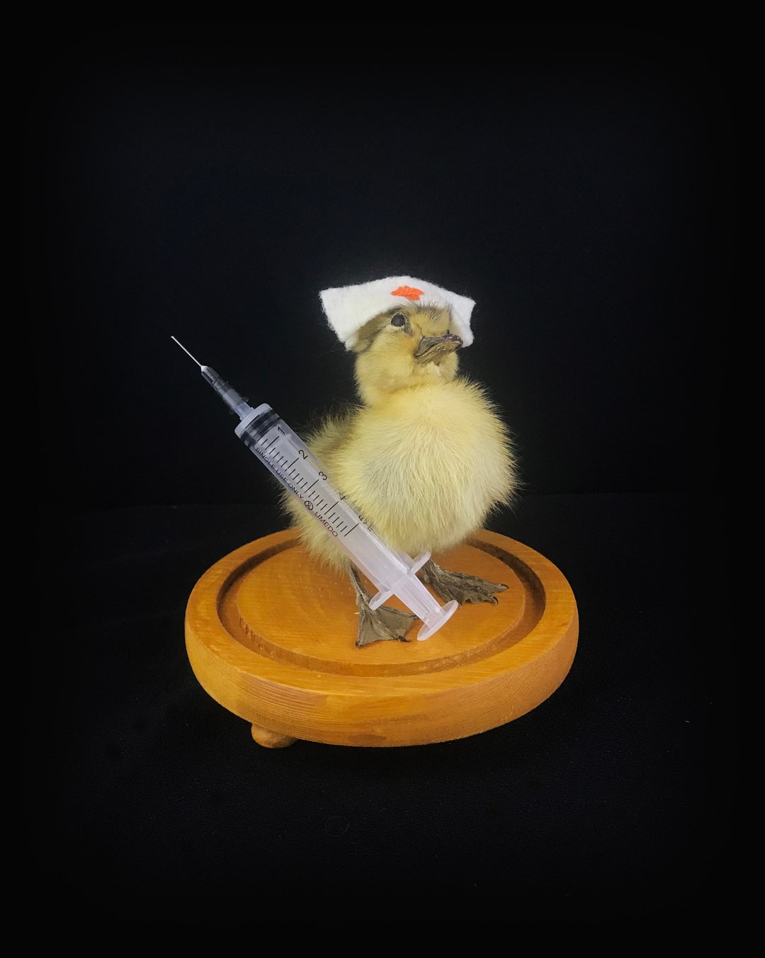 Cute Nurse Baby Duckling in a Glass Dome - Medic Gift - Curiosity ...