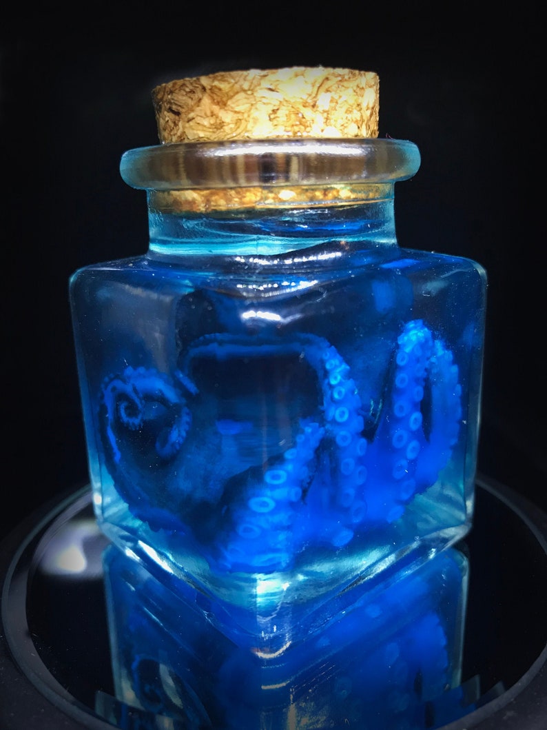 Cute BLUE Baby Octopus in a Jar Rare Curiosity Steampunk - Etsy