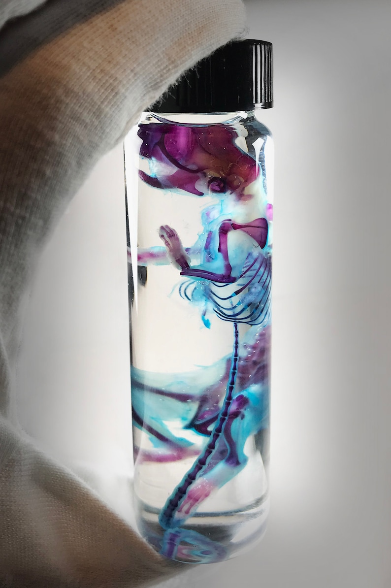 Large Diaphonized Mouse Wet Specimen in a Jar Curiosity - Etsy