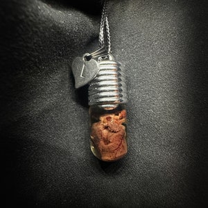 My Heart is Yours Pendant - Real Rat Heart in a Glass Vial - Oddity in ...