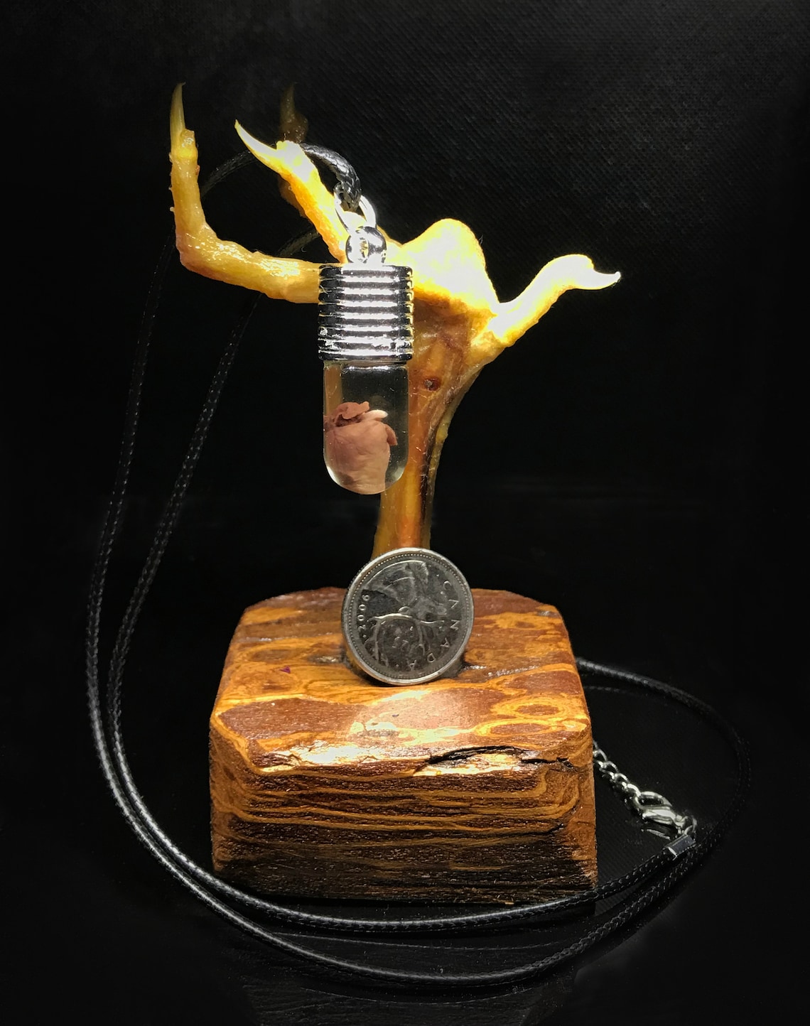 My Heart is Yours Pendant Real Rat Heart in a Glass Vial - Etsy