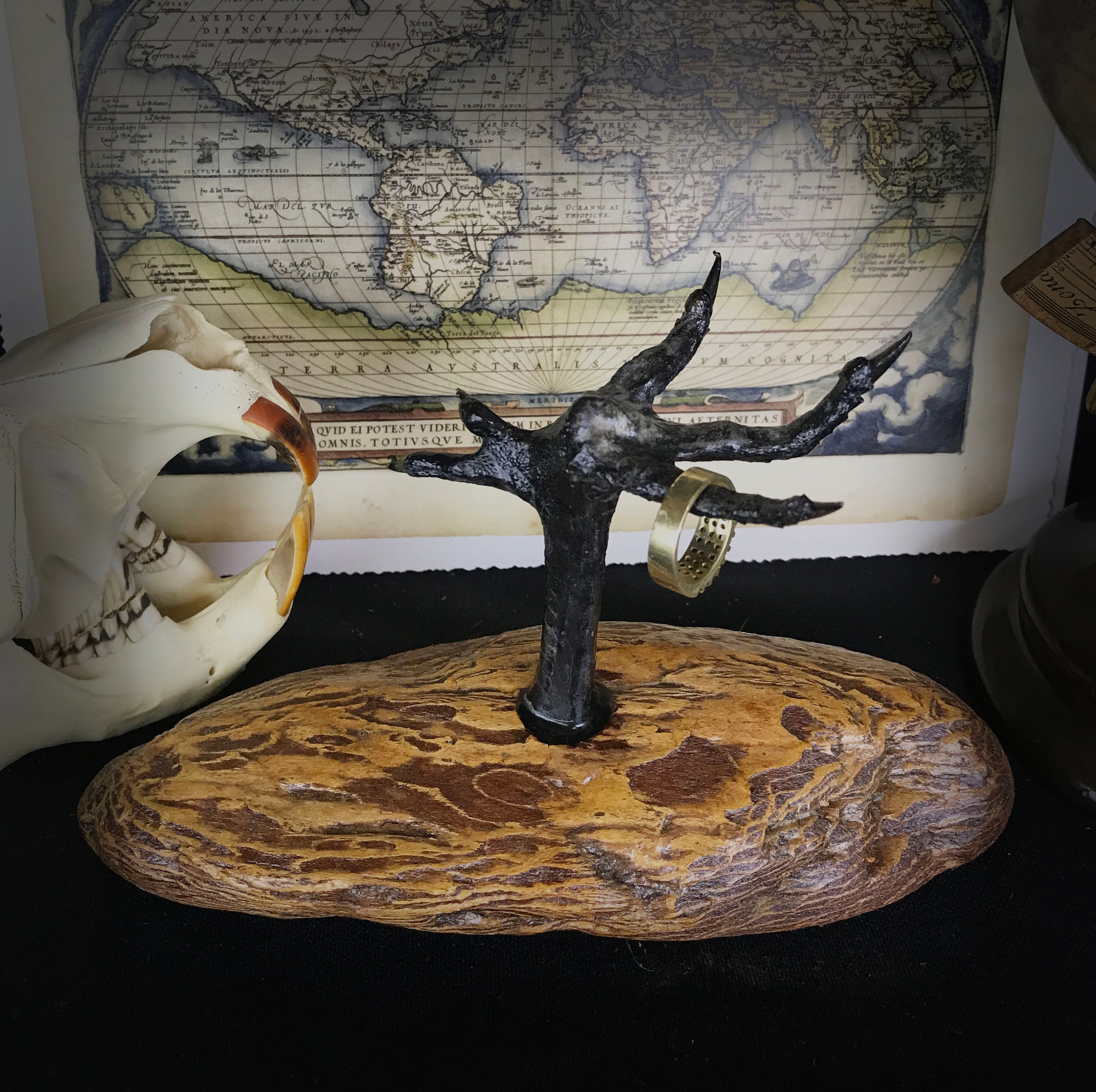 RARE MUTANT Mummified chickens foot Gothic Décor Ring | Etsy