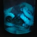 Large BLUE Baby Octopus Rare Wet Specimen Curiosity - Etsy