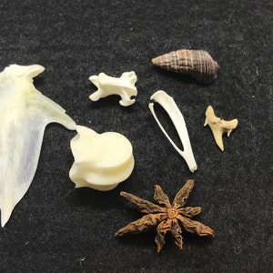 Adorable Miniature Bone Throwing Kit Gift Set - Bone Casting Divination ...