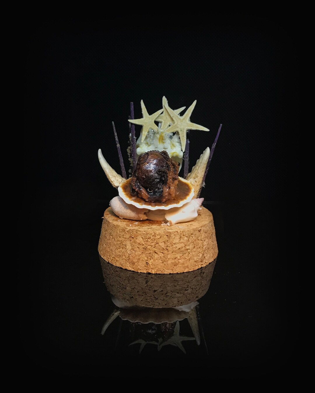 Mummified Octopus in a Glass Dome Curiosity Steampunk Décor Cruelty ...