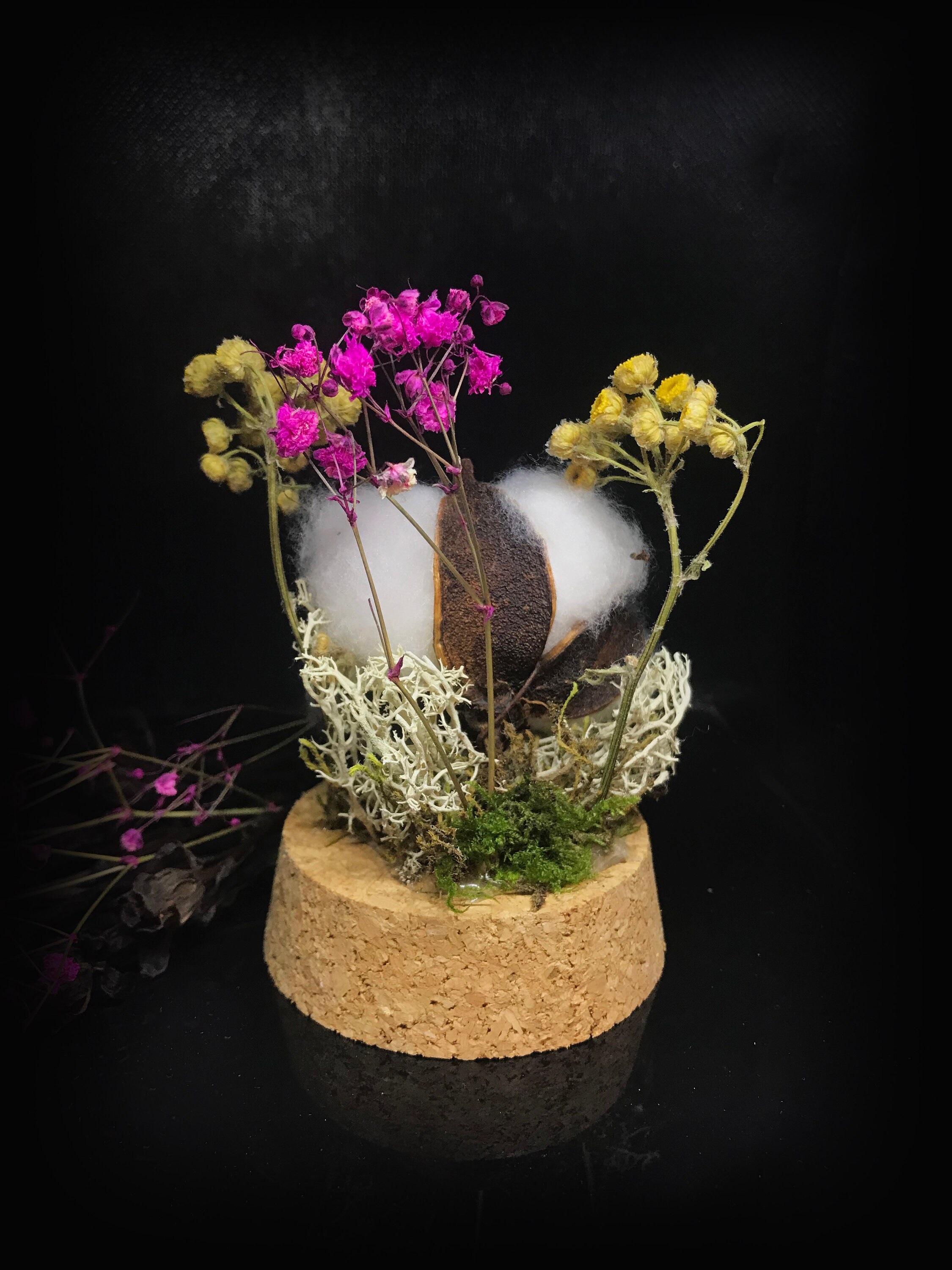 Oddity | Adorable Little Baby Mouse Sleeping in a Glass Dome ...