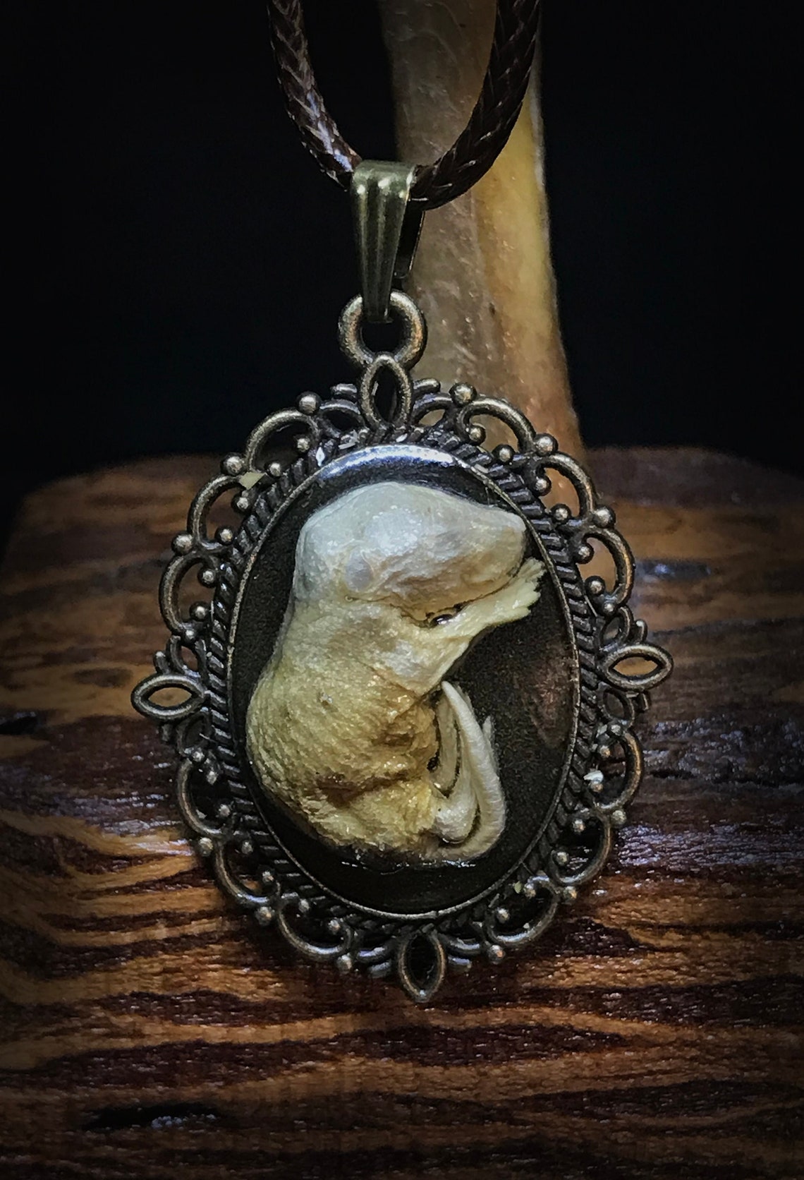 Mummified Baby Mouse Pendant - Vulture Culture - Unique Gift ...