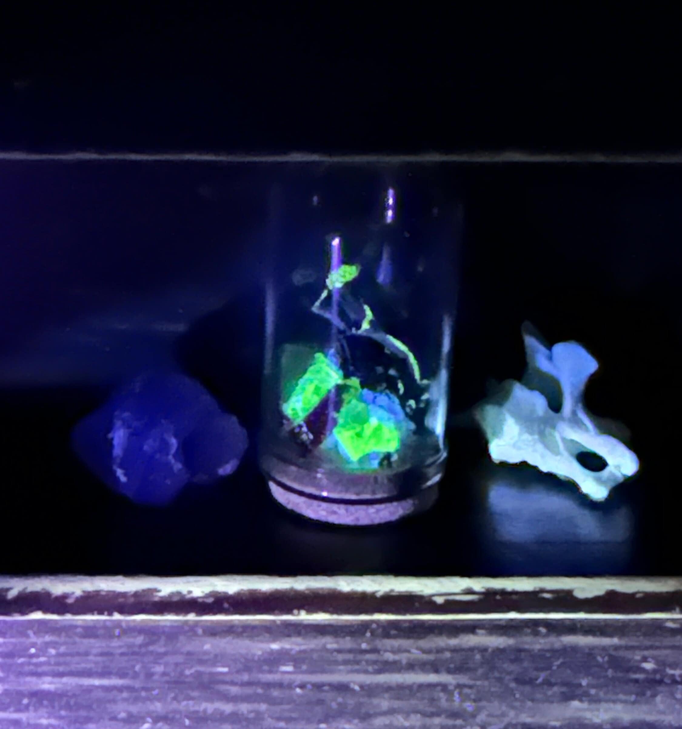 Mutant Lichens on Uranium and Cobalt Glass - Glow in the Dark Oddities ...